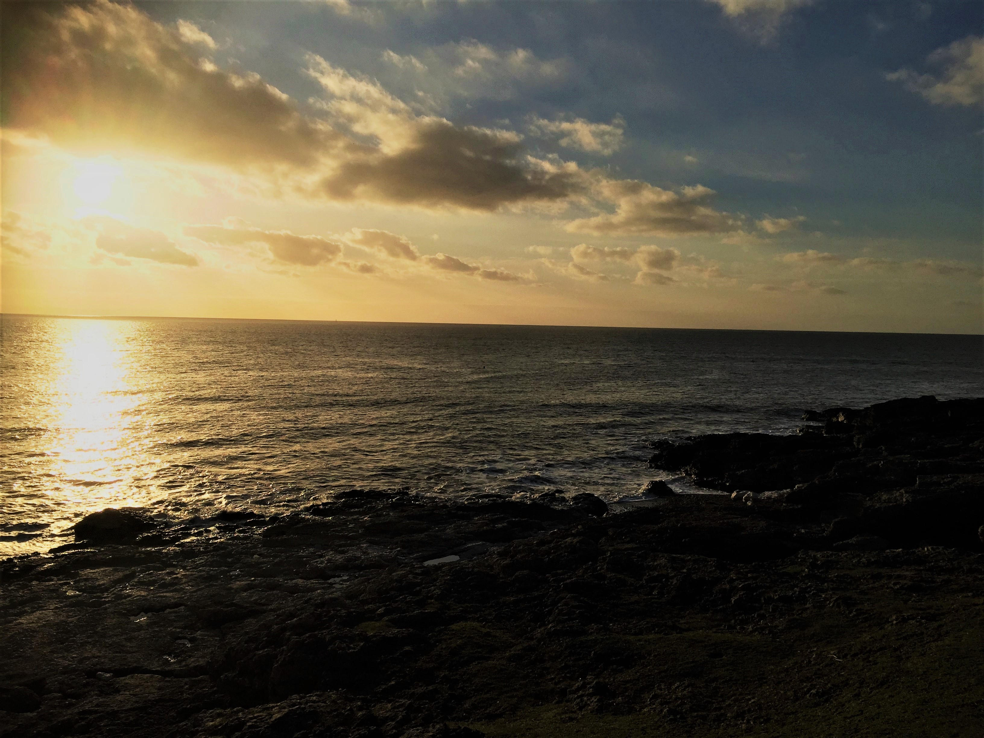 About – Science and Joe